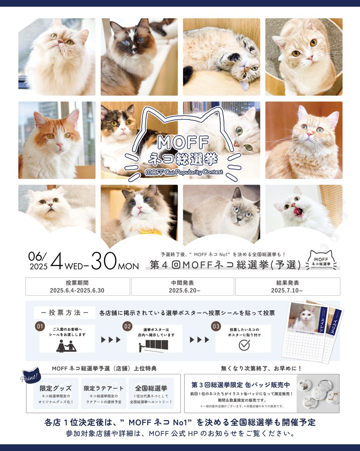 2025年4月18日（金）新店舗『Cat Café MOFF』と『Moff animal cafe』が、 ららぽーと安城にオープン ...