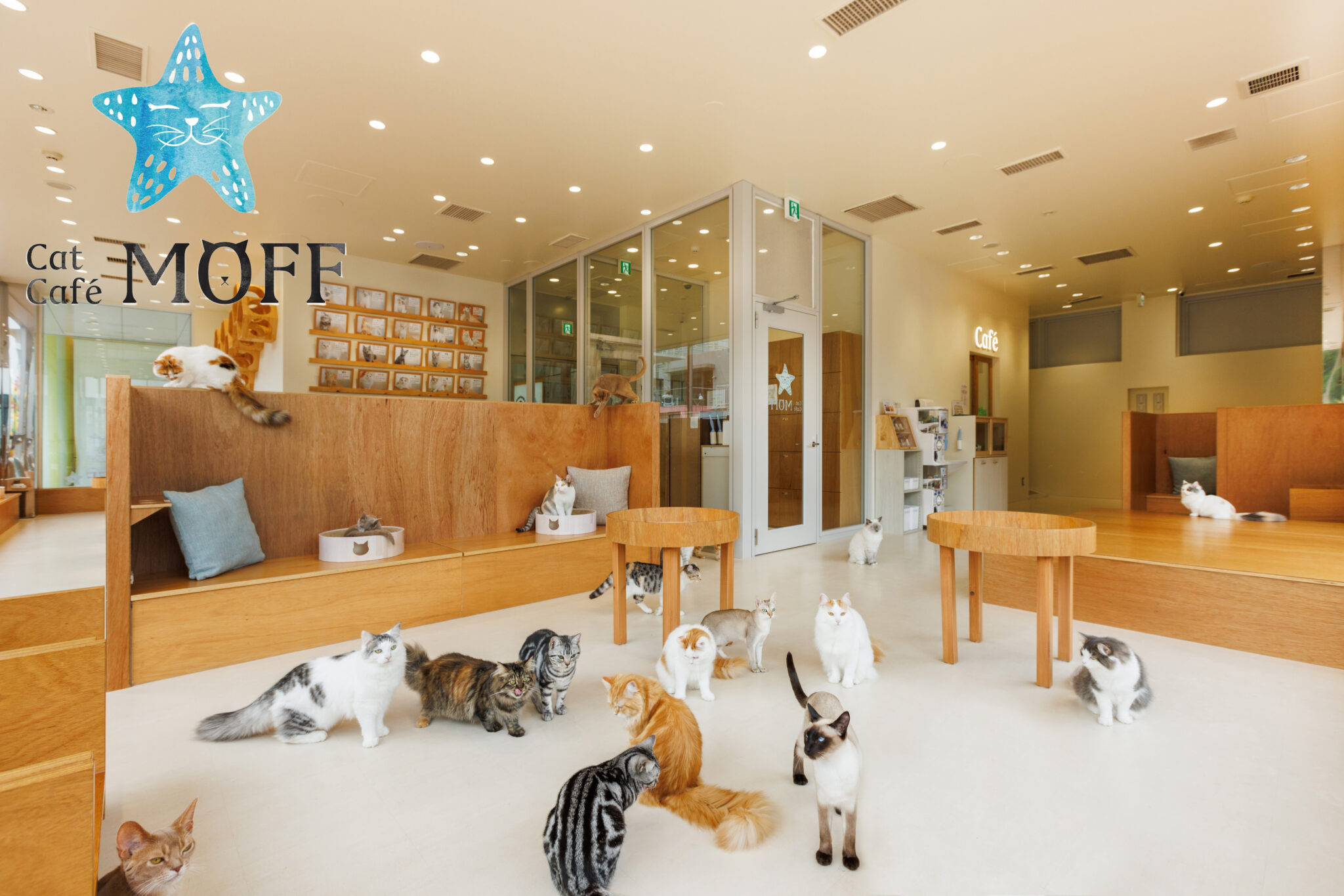 【休園に関するお知らせ】 2025年10月22日（水）Moff animal cafe イオンモール名取店 | 株式会社 MOFF