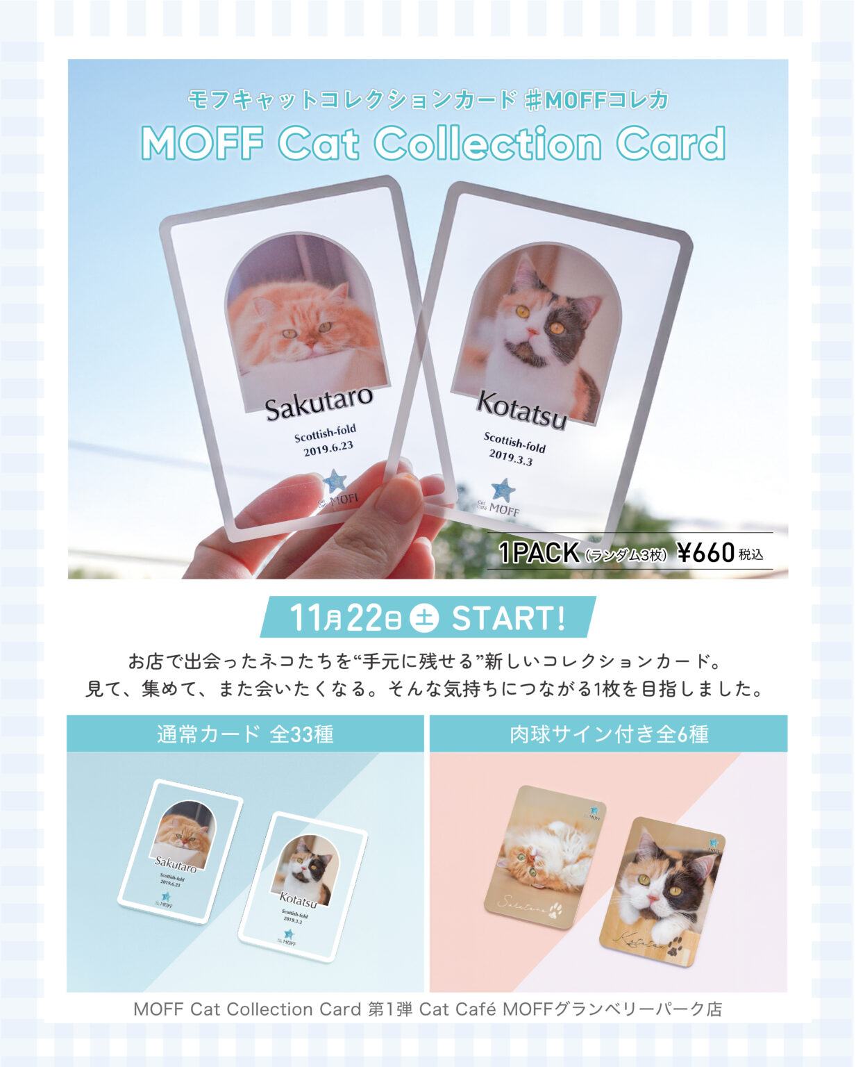 【新商品】MOFFネコがカードに！『MOFF Cat Collection Card』グランベリーパーク店で先行販売スタート！ | 株式会社 MOFF