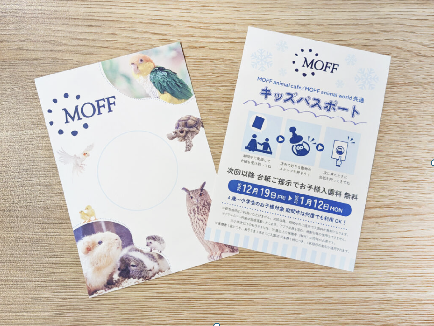 Winter break limited time offer! Kids Passport now available!! | MOFF ...